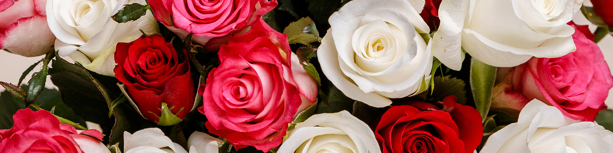 Tony Jones Florist Northampton Order Online or 01604 380265